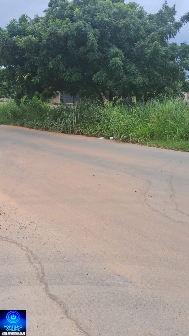 👉😡👎🚂🐢🧹🚧😠🚂🚂🚂A empresa VLI não limpa nem as margens da linha férrea? A ...